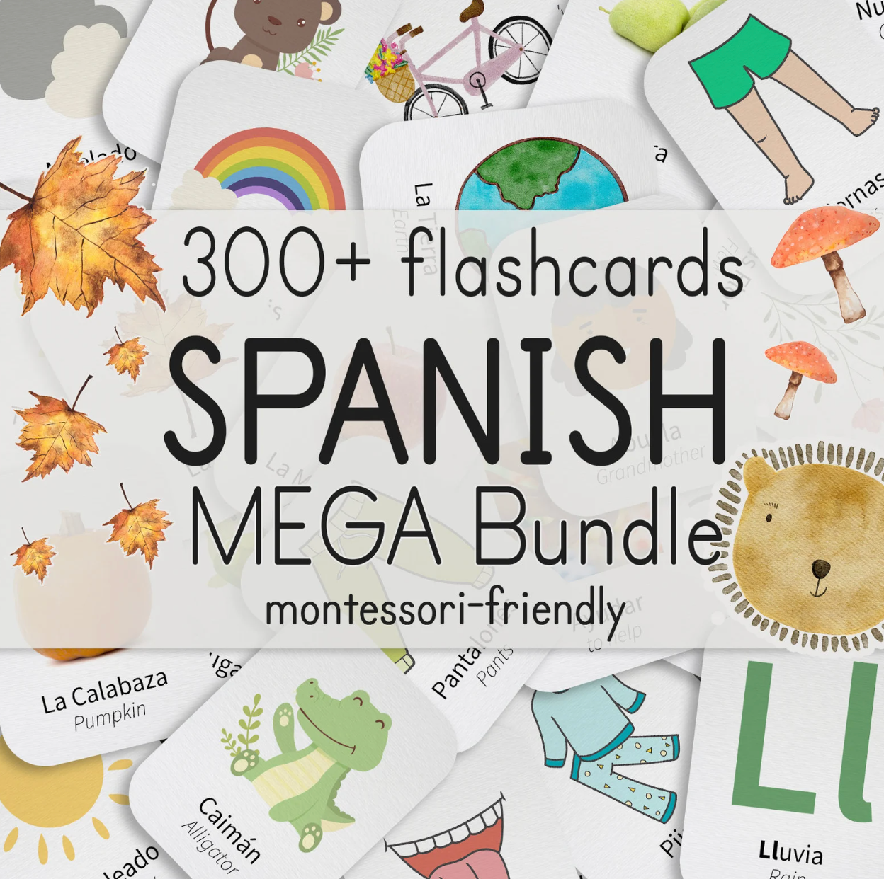 Spanish Flashcard Bundle – Leathercraft Club